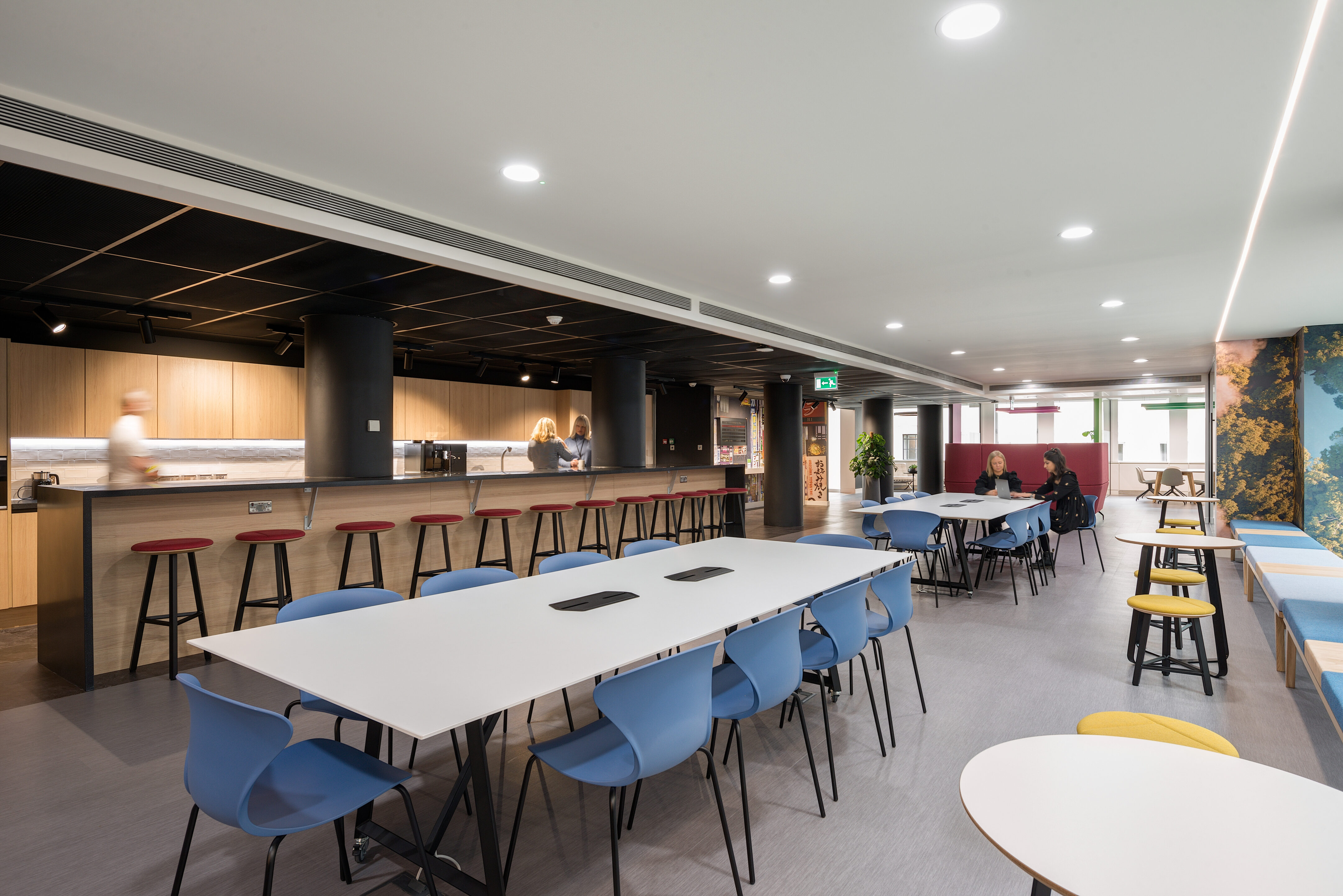 Office Layout: Expert Advice on How to Plan Your Space - DENTON