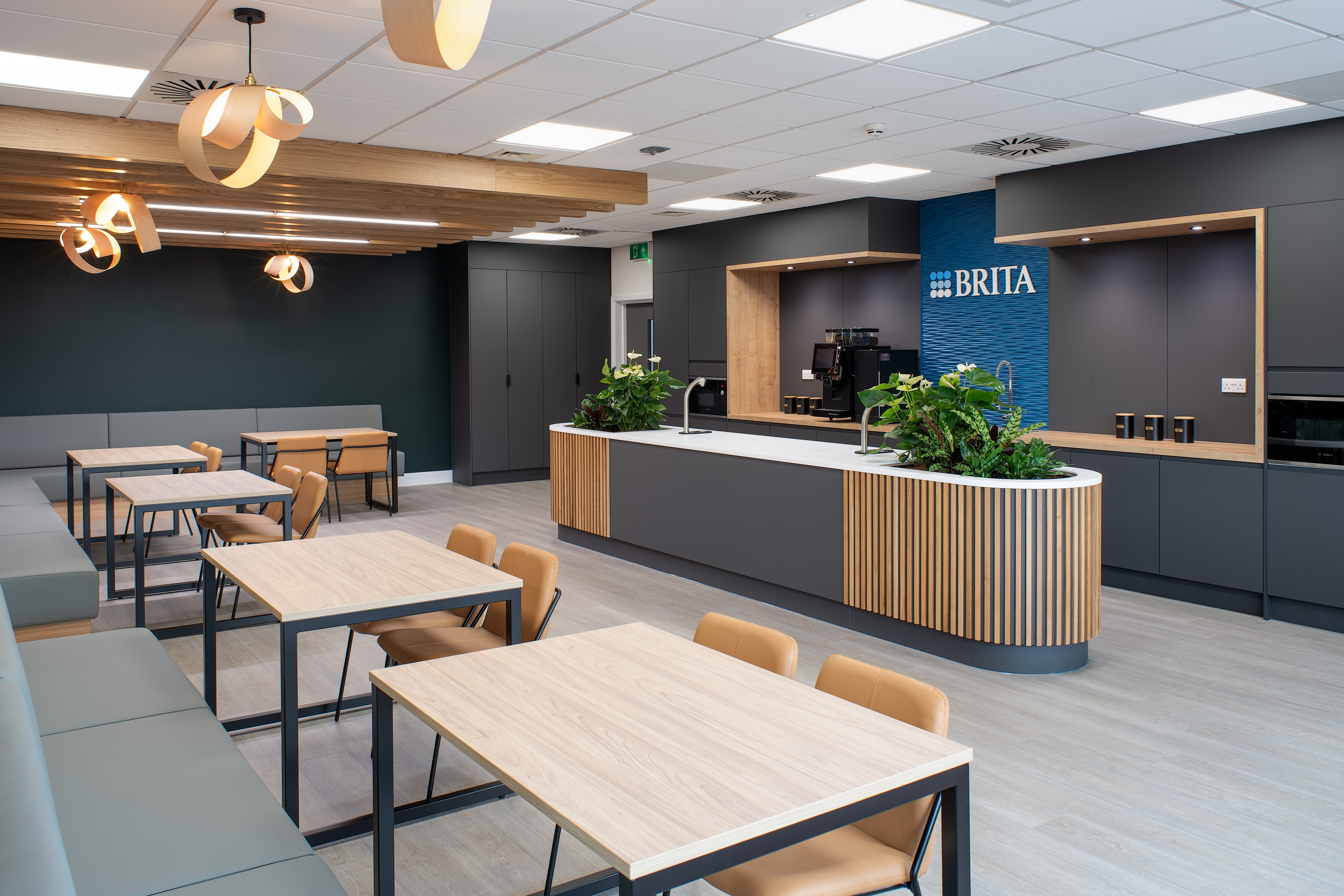 Your Guide to a Detail and Build Fit-Out Project - DENTON