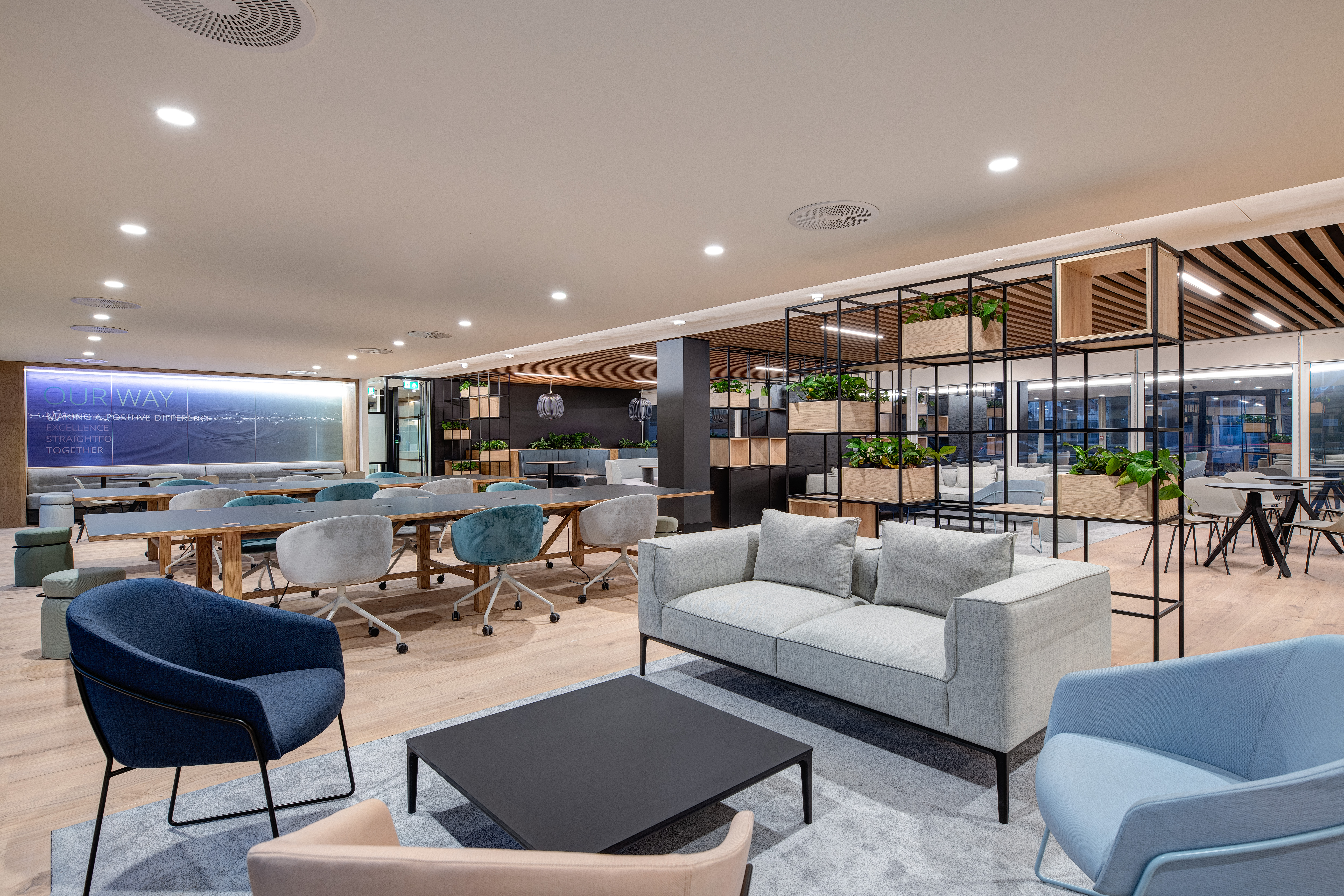 Common Office Design Problems - DENTON