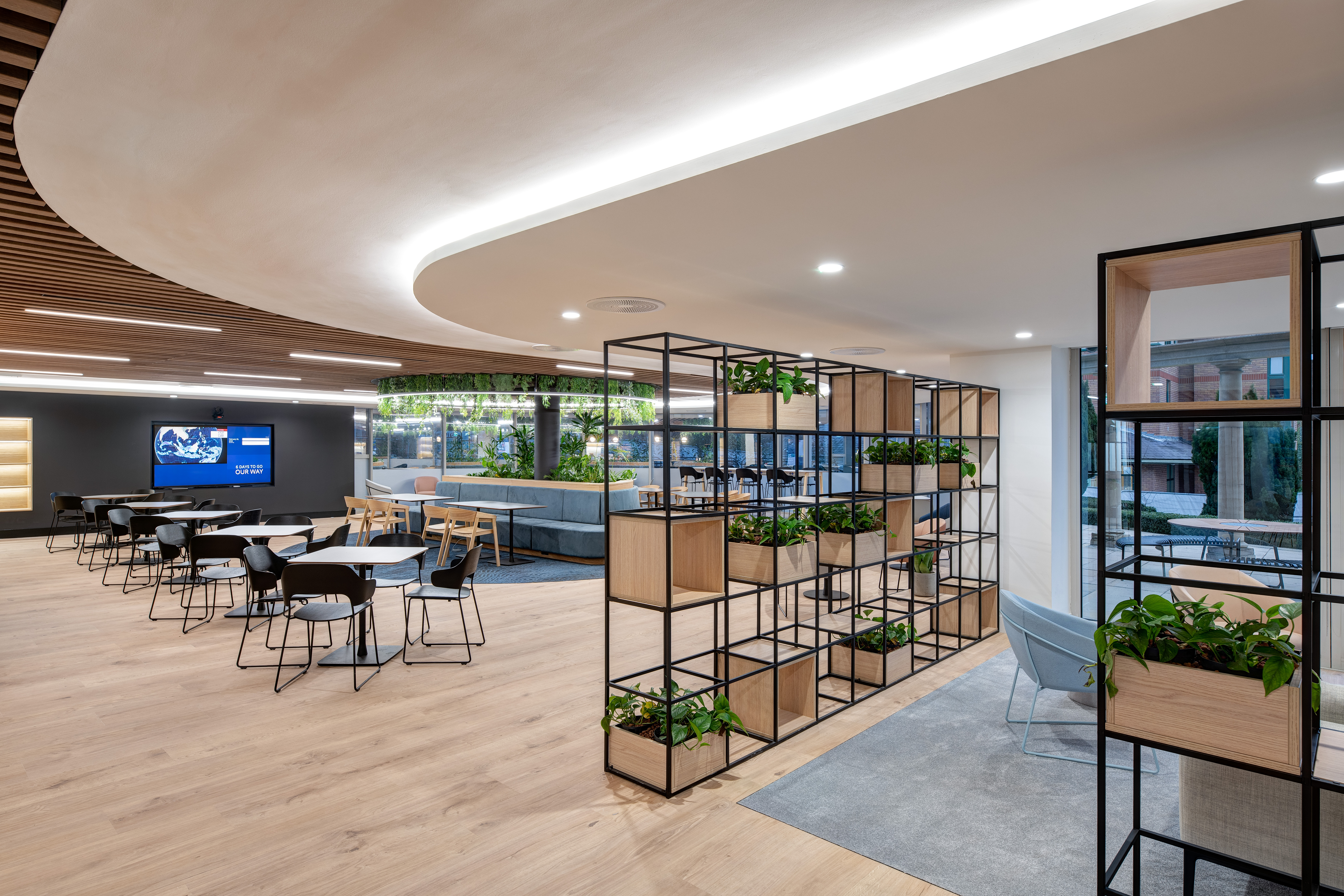 Office Design For Neurodiversity: The Role of Colour - DENTON